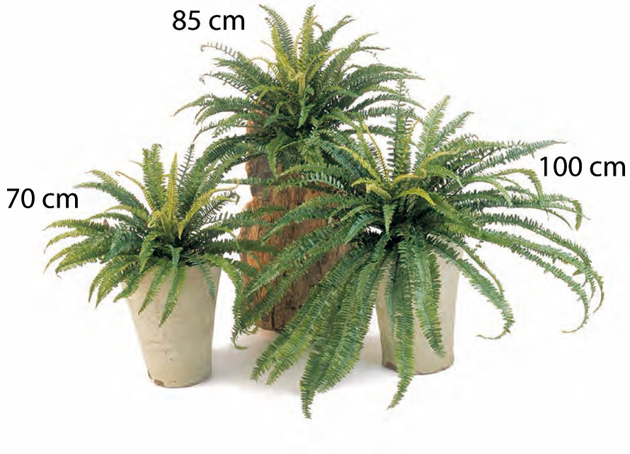 Forest Farn - Kunstpflanzenstiel | Terrapalme Heim- und Gartenshop