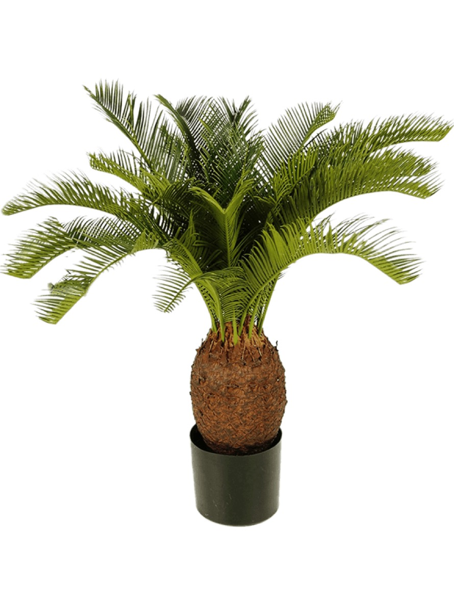 Cycas revoluta Kunstpalme 65 cm | Terrapalme Heim- und Gartenshop