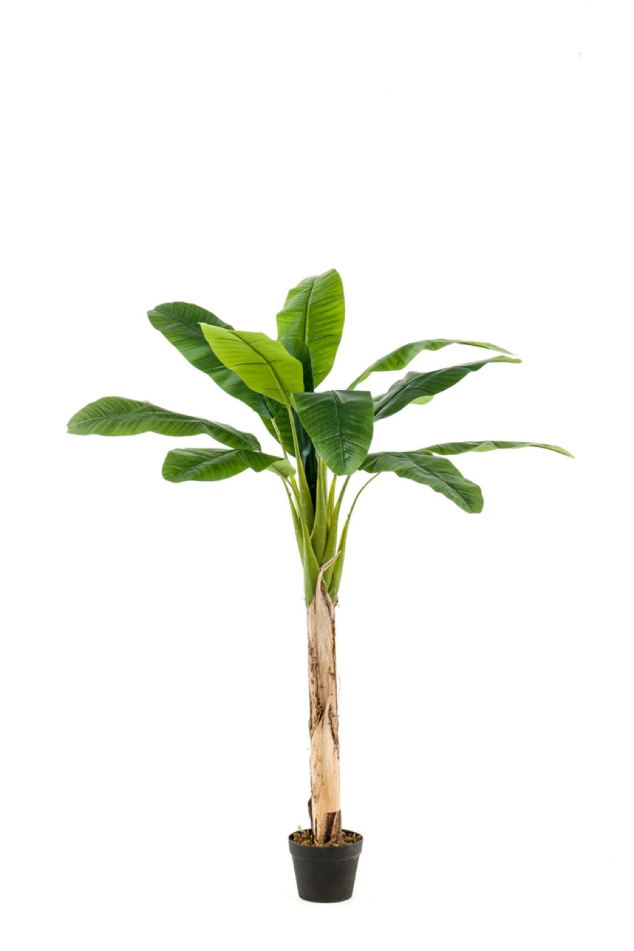 Bananenbaum Kunstpflanze - Banana tree | Terrapalme Heim- und Gartenshop