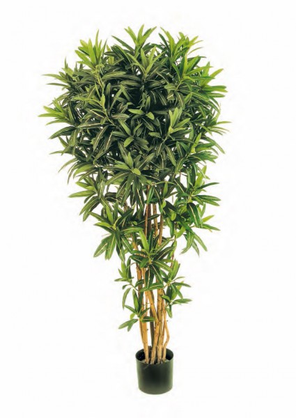 Croton goldfinger reflexa Kunstpflanze | Terrapalme Heim- und Gartenshop