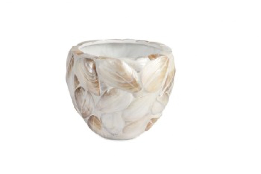 Samar Kabibe Austernmuschel Dekoschale | Terrapalme Heim- und Gartenshop